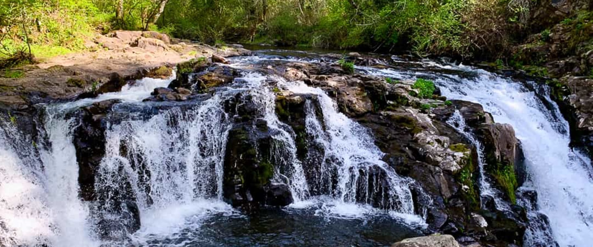 Discovering the Hidden Gems of Clark County, Washington